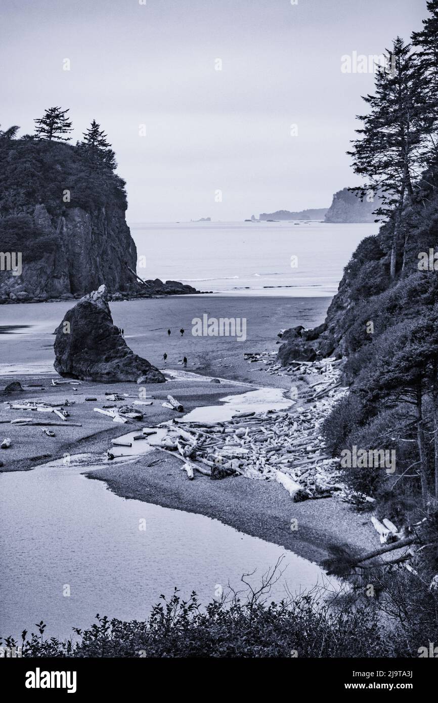 Kalaloch beach olympic national park olympic peninsula washington state ...