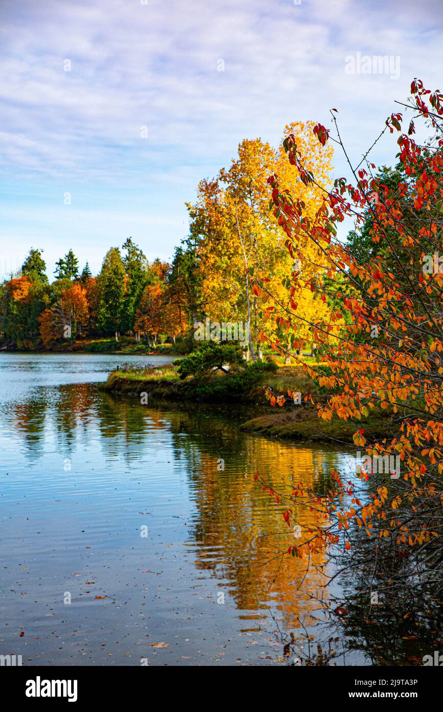 Bainbridge Island, Washington State, USA. Fall colors Stock Photo - Alamy
