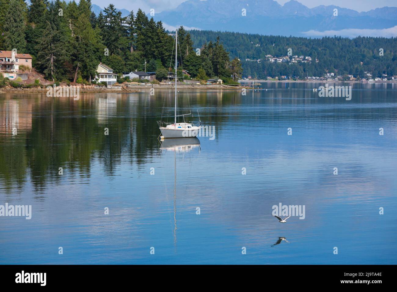 Bremerton, Washington State, USA. Puget Sound Stock Photo - Alamy