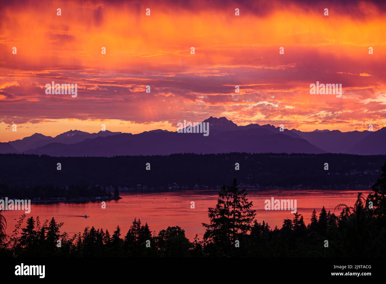 Bremerton, Washington State, USA. Olympic Mountains and Puget Sound ...