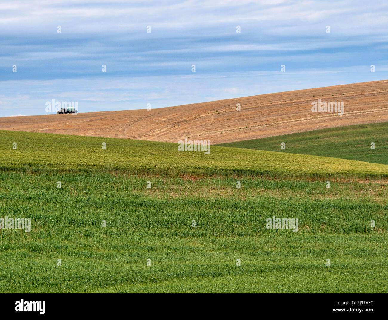 Palouse wheat field hi-res stock photography and images - Alamy