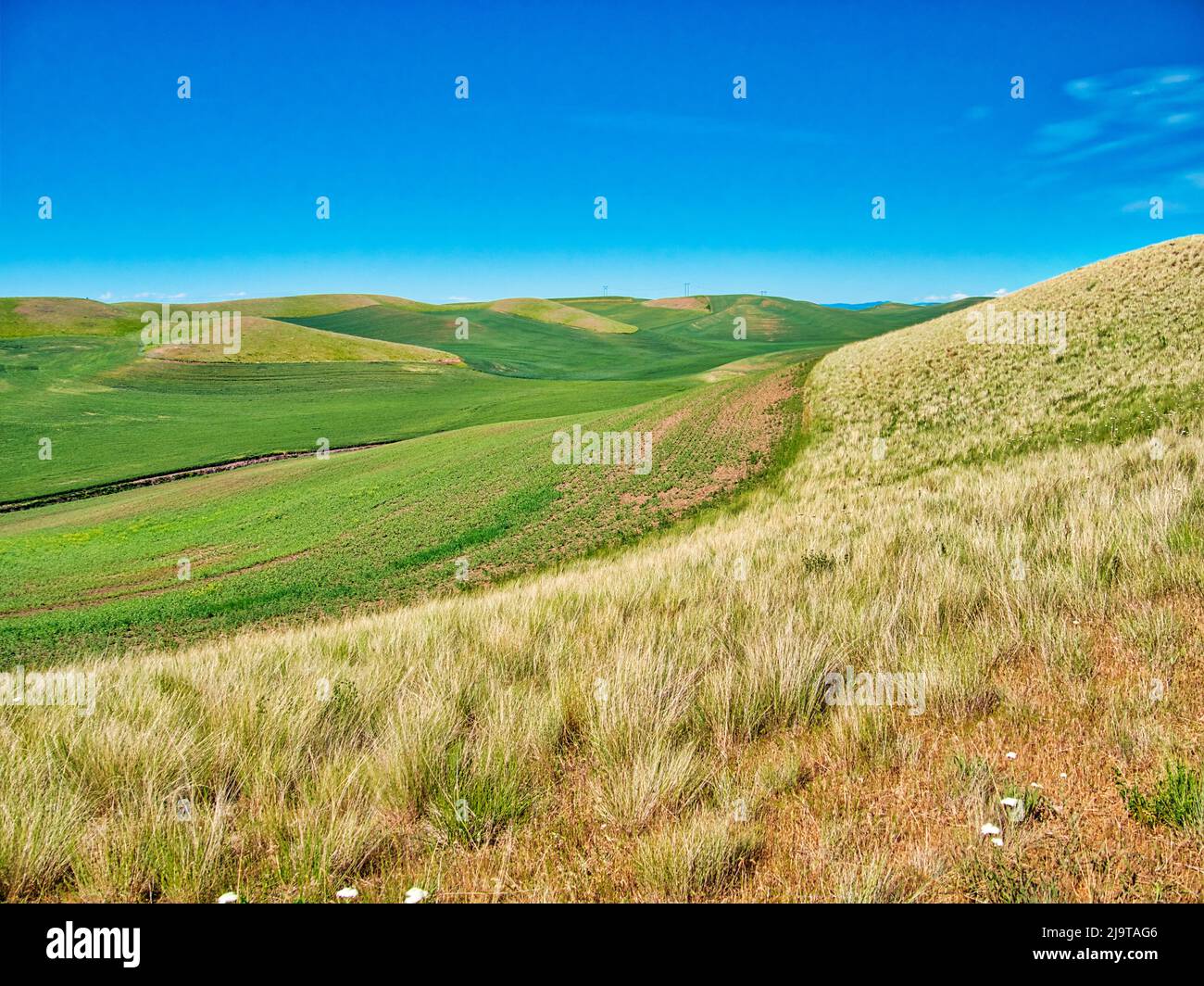 Crop lines hi-res stock photography and images - Alamy