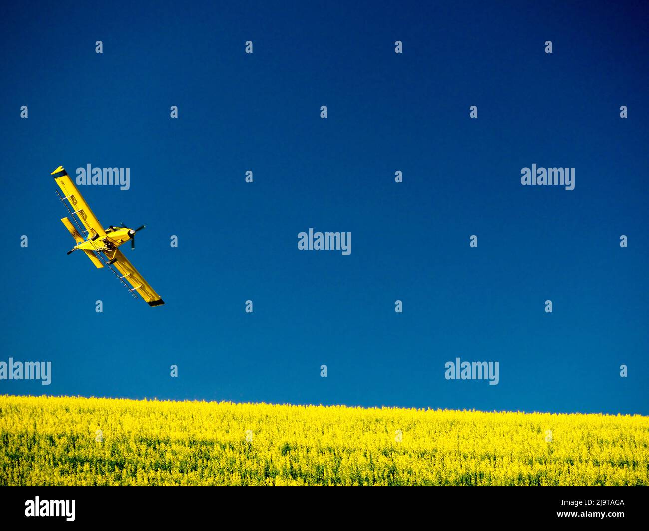 USA, Washington State, Palouse. Yellow crop duster over canola field ...