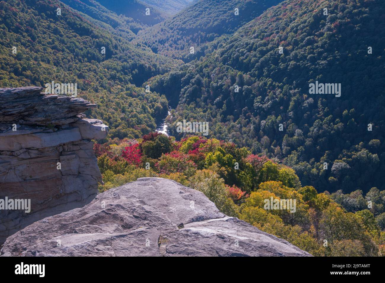 USA, West Virginia, Davis. Overview of forested mountain landscape ...