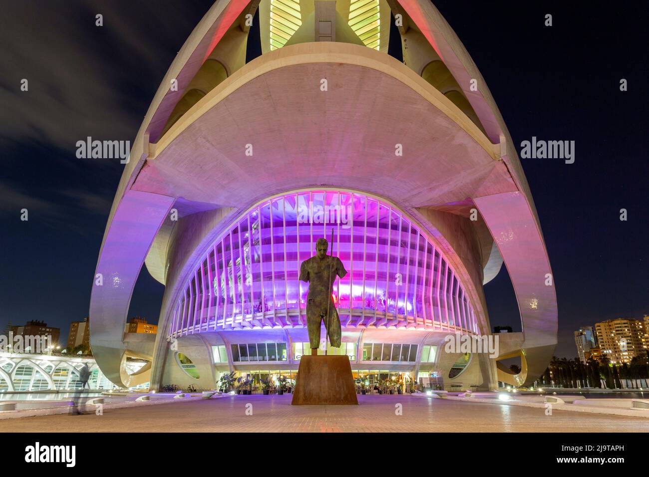 The Queen Sofia Palace of Arts in Valencia, Spain Stock Photo - Alamy