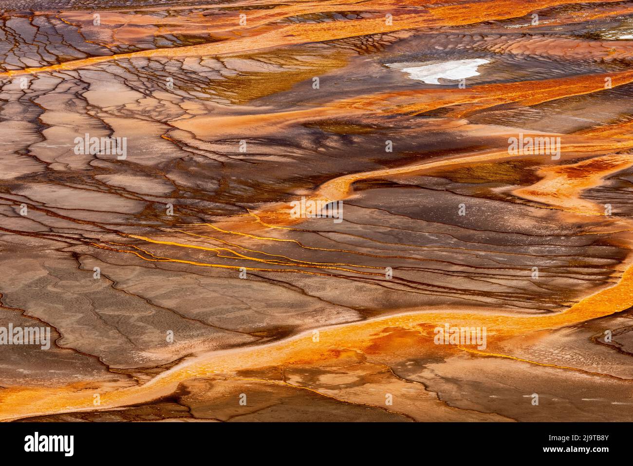 Elevated view of patterns in bacterial mat around Grand Prismatic ...