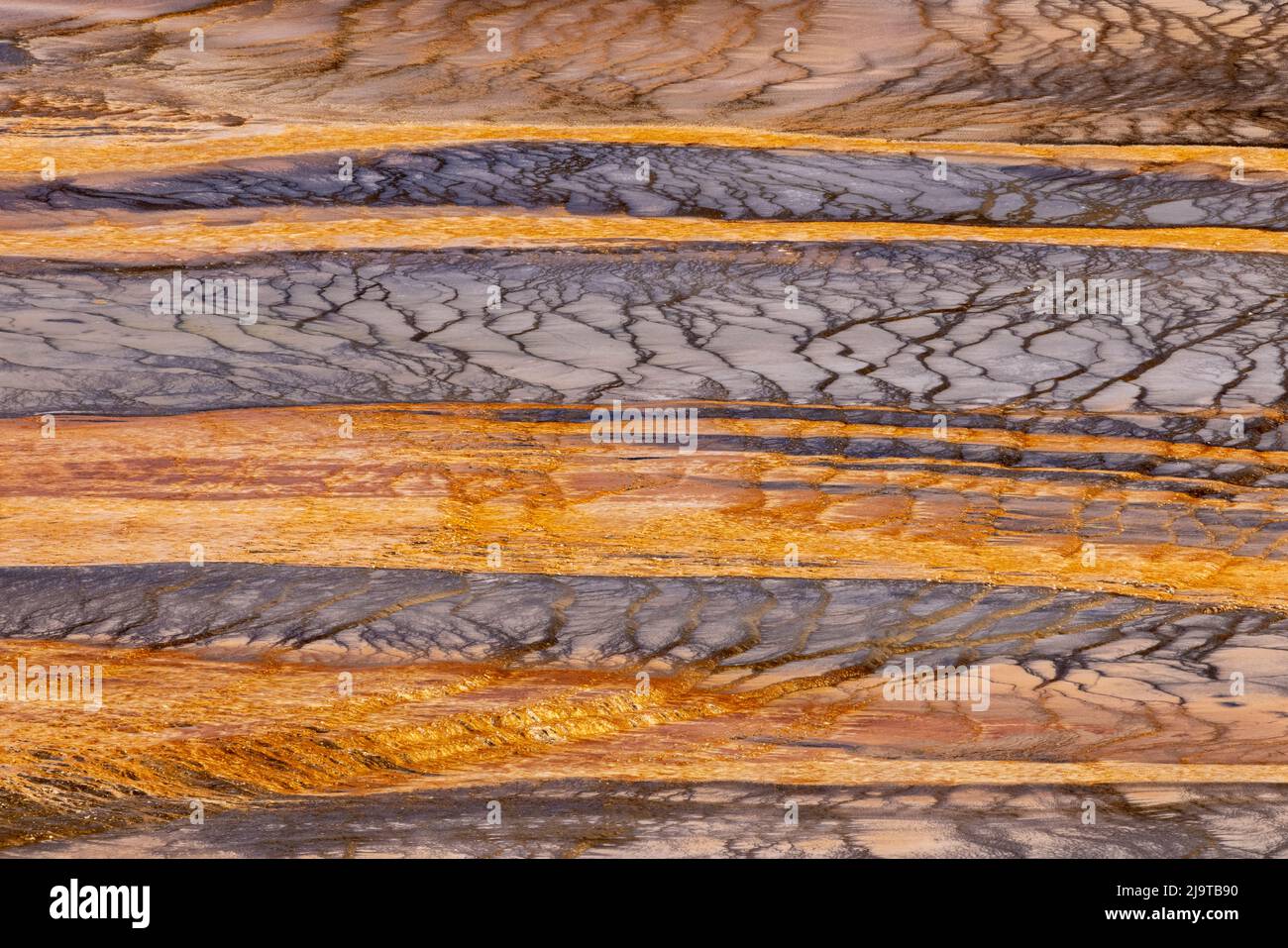 Elevated view of patterns in bacterial mat around Grand Prismatic ...