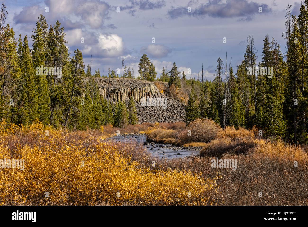 Columnar basalt formation at Sheepeater Cliffs, Yellowstone National ...