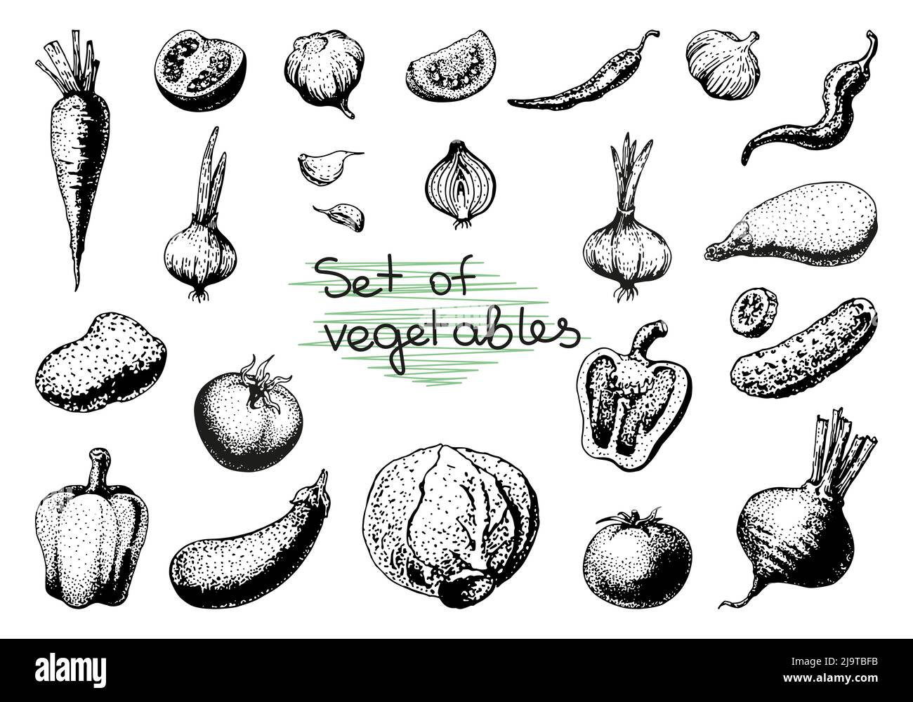 Vector hand drawn sketch vegetable set. Eco foods.Vector illustration ...