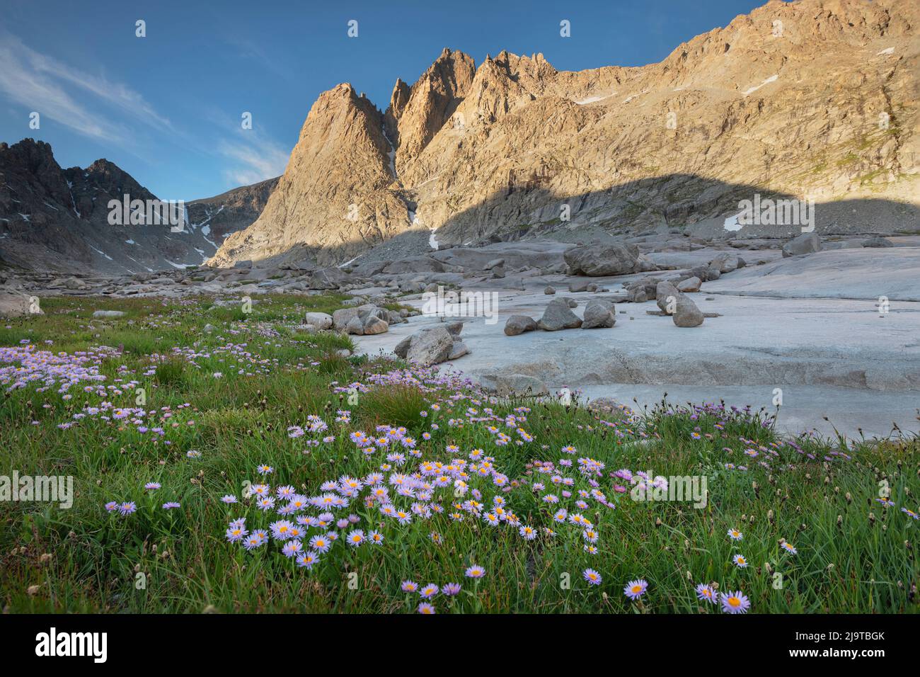 Mount Helen and field of purple Asters growing in Upper Titcomb Basin ...