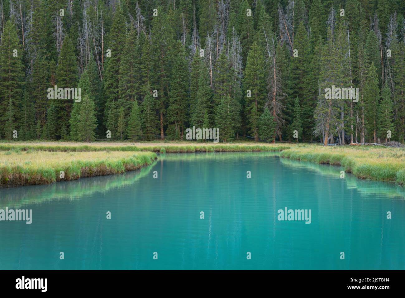 Green River, Bridger Wilderness, Wind River Range, Wyoming Stock Photo ...