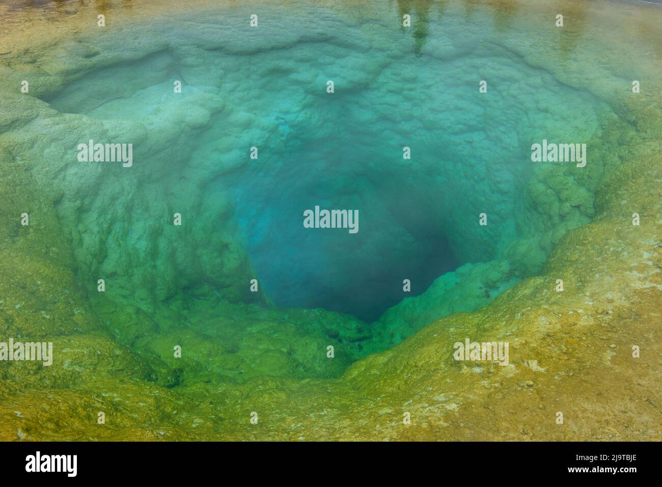 Morning Glory Pool, Yellowstone National Park Stock Photo - Alamy