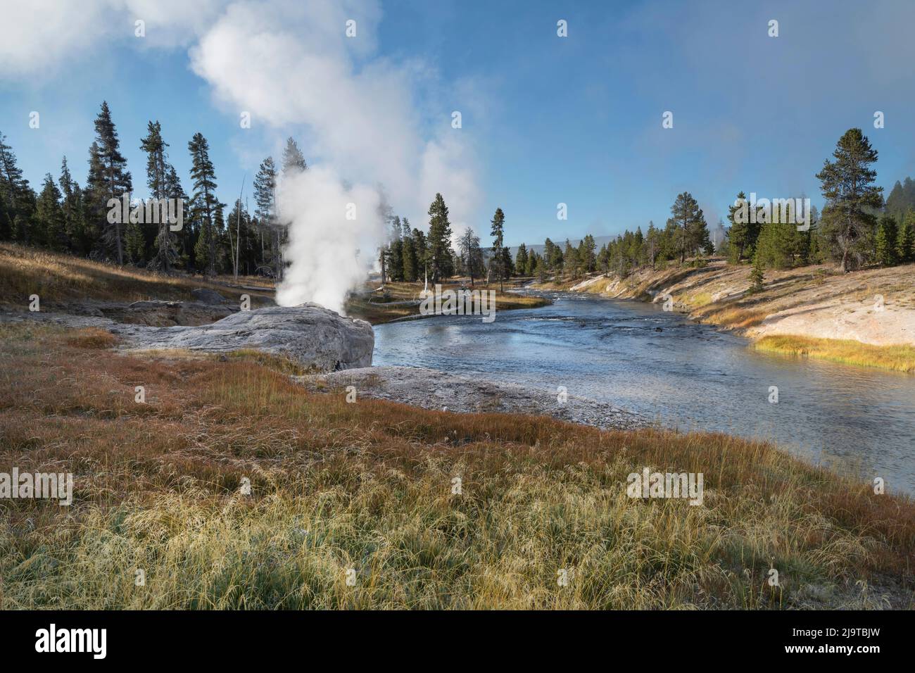 Steam plume emitting from Riverside Geyser Firehole River, Yellowstone ...