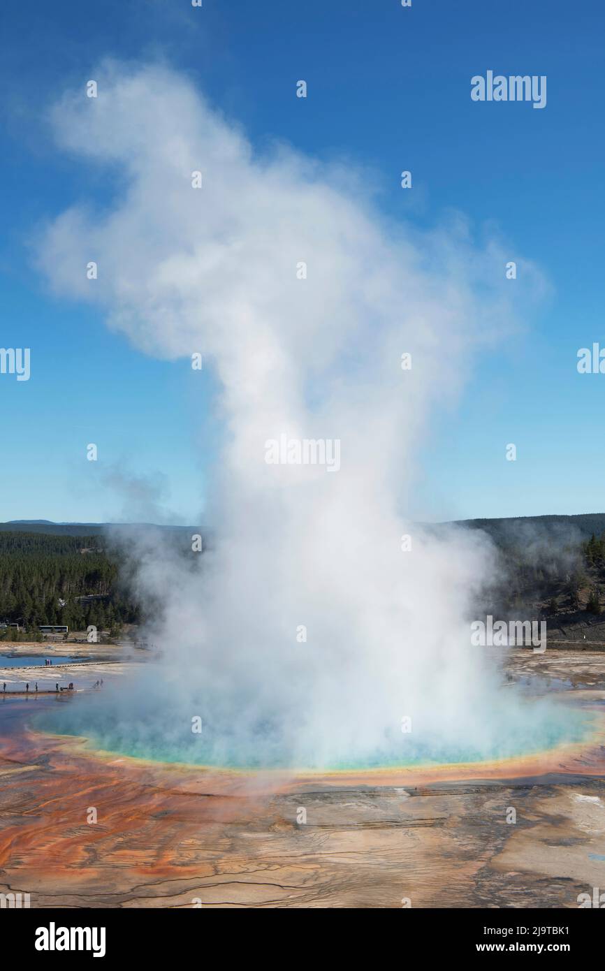 Steam plume emitting from Grand Prismatic Spring on a cold morning ...