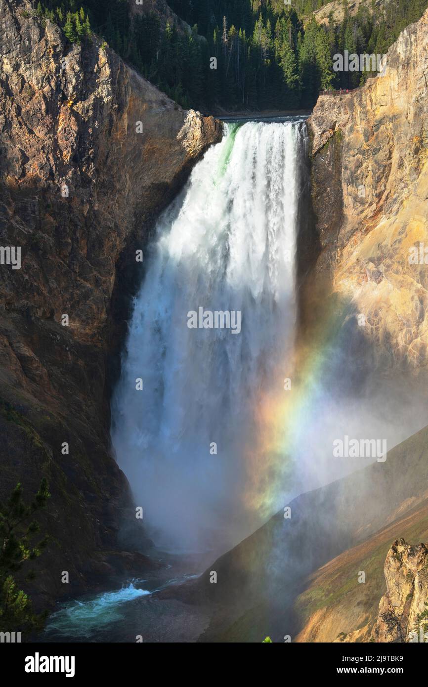 Rainbow at base of Lower Falls of the Yellowstone River seen from Red ...