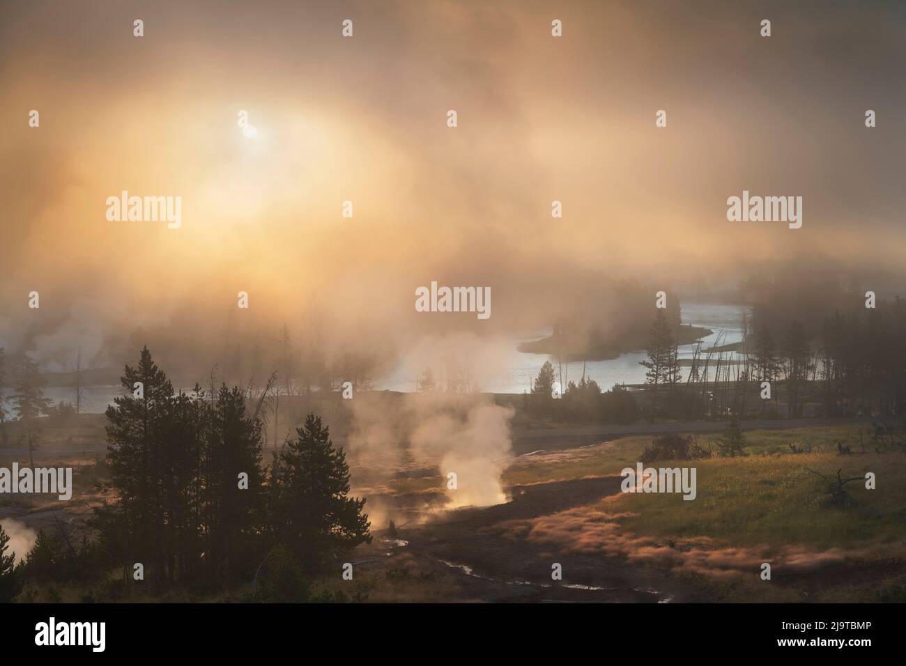 Fog and steam rising from Mud Volcano area geysers and hot springs at ...