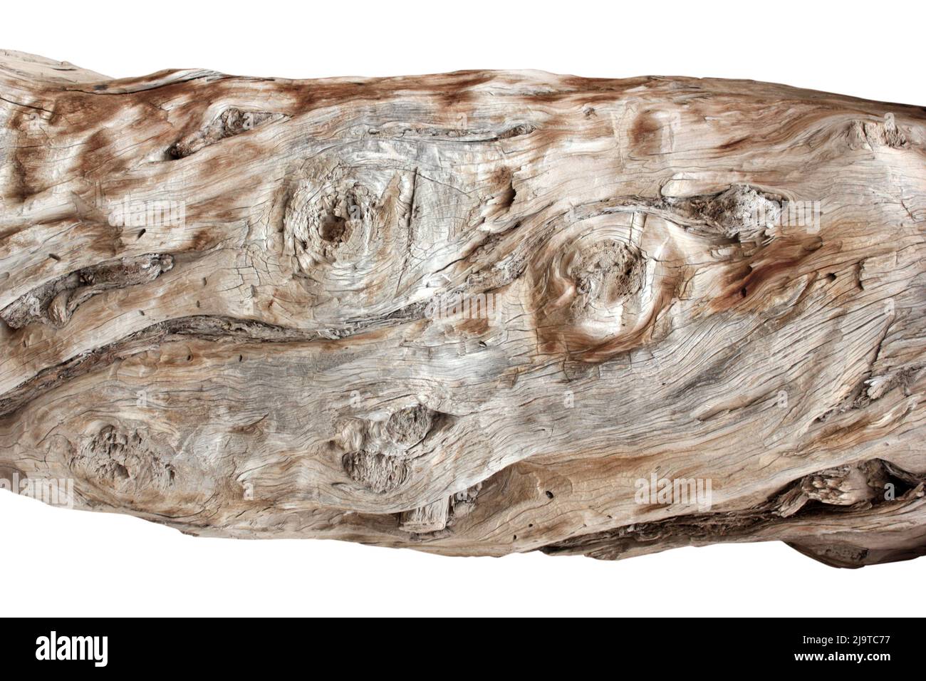 Large fire stump hi-res stock photography and images - Alamy