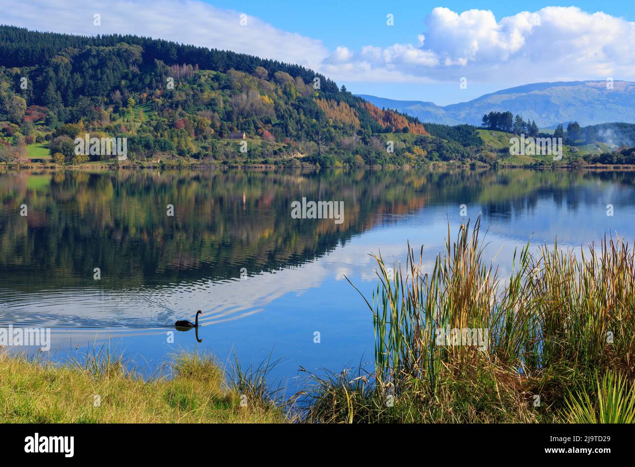 Lake Tutira in the Hawke's Bay region of New Zealand, photographed in ...