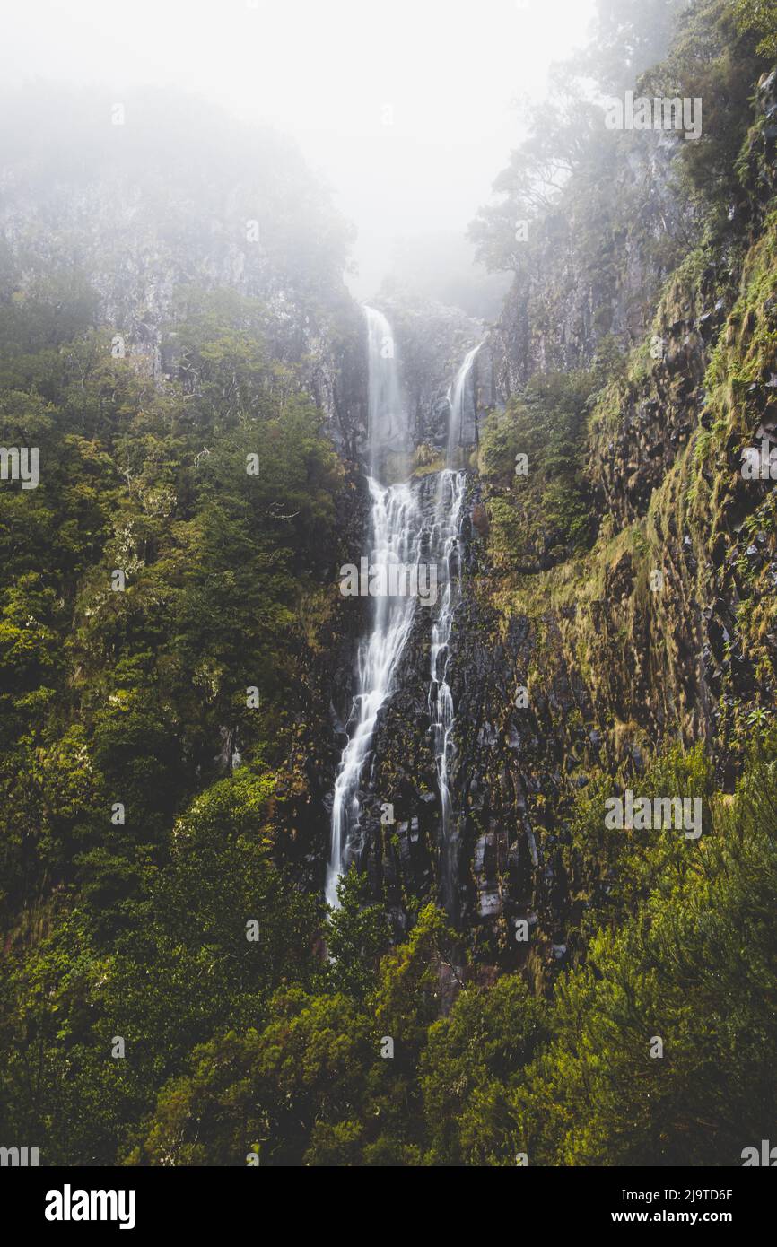 Majestic Risco waterfall immersed in mist and rain on the island of ...