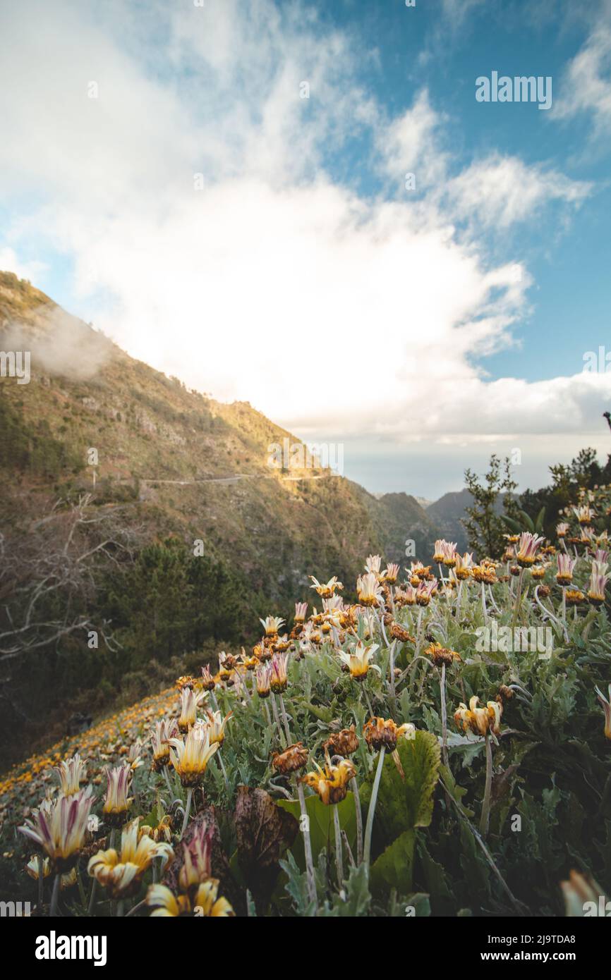 Madeira portugal funchal curral hi-res stock photography and images - Alamy