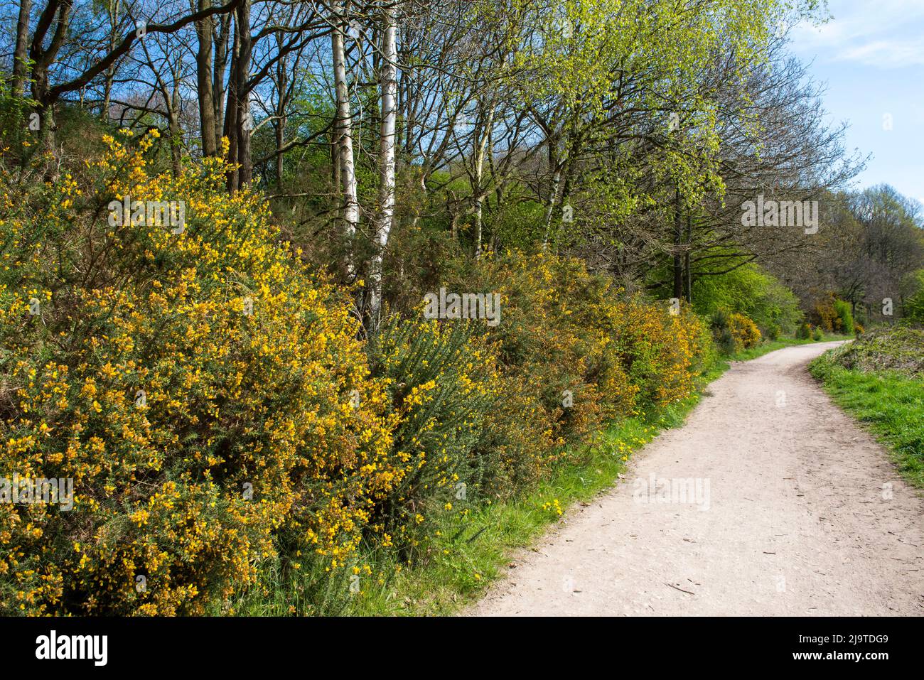 Spring at Bestwood Country Park in Nottingham, Nottinghamshire England ...