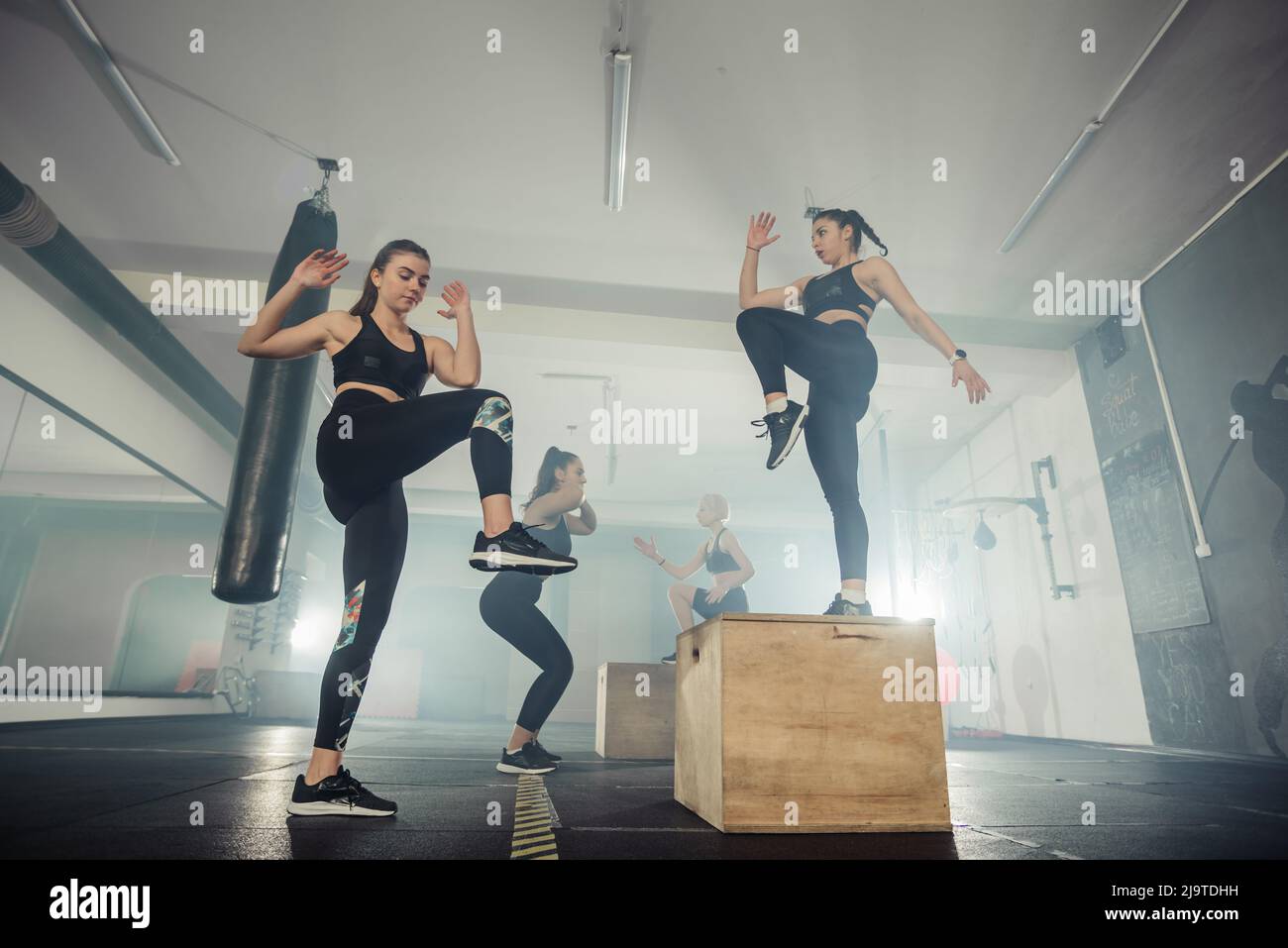 Fitness group of strong women having cross-functional training in the ...