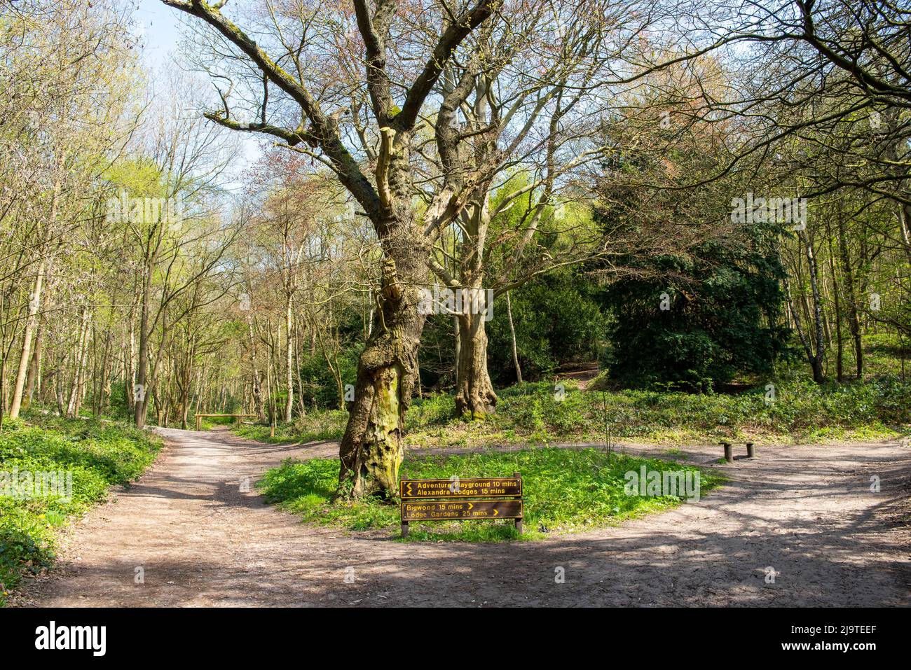 Spring at Bestwood Country Park in Nottingham, Nottinghamshire England ...