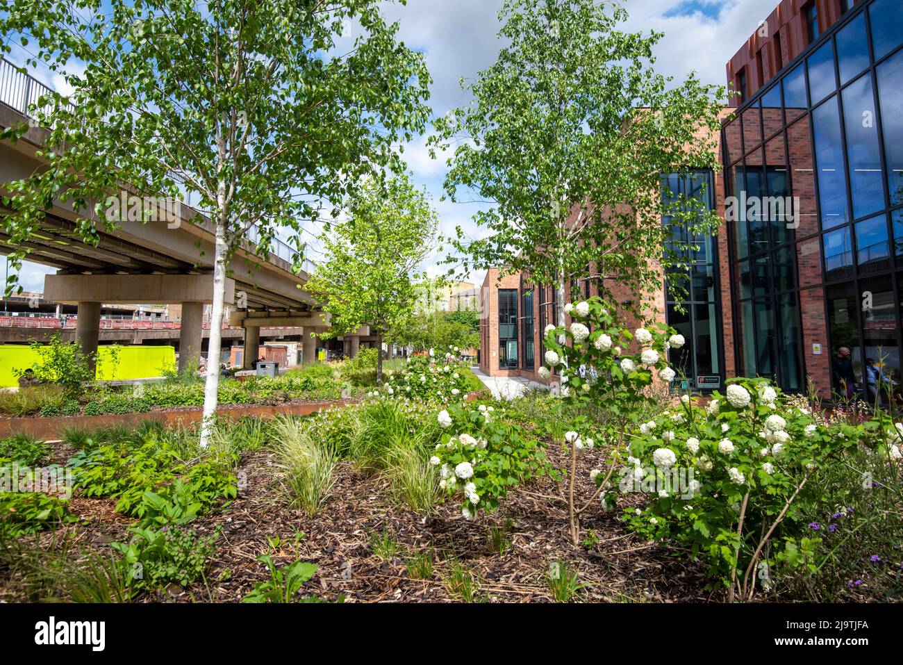 New green space and public realm between the College City Hub and Broad ...
