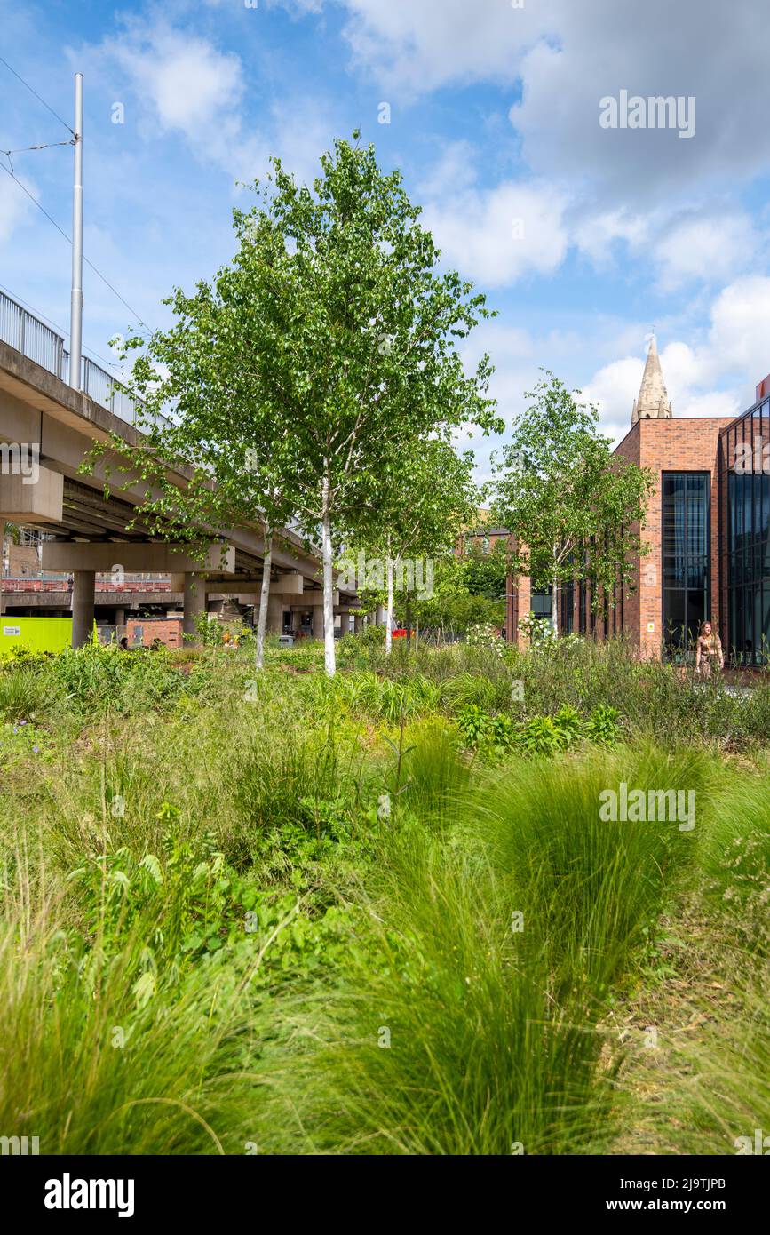 New green space and public realm between the College City Hub and Broad ...