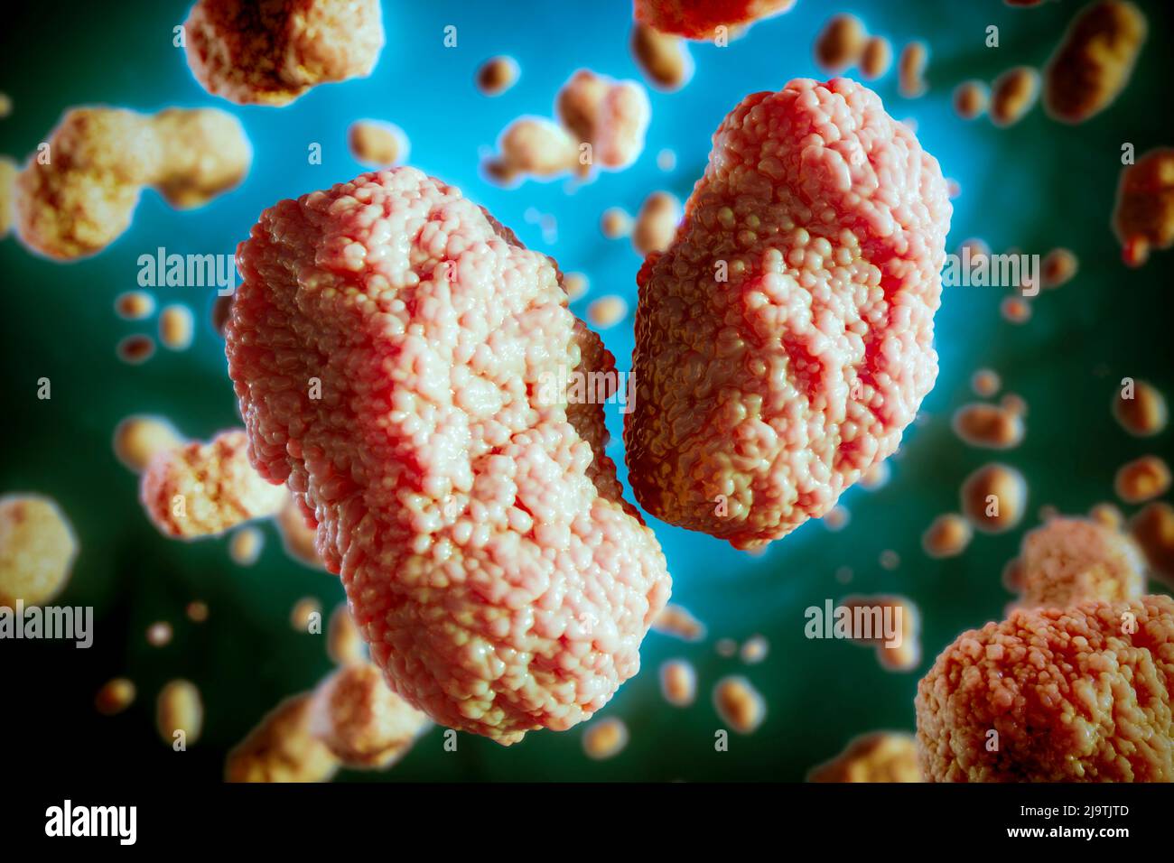 Monkeypox virus particles, illustration Stock Photo - Alamy