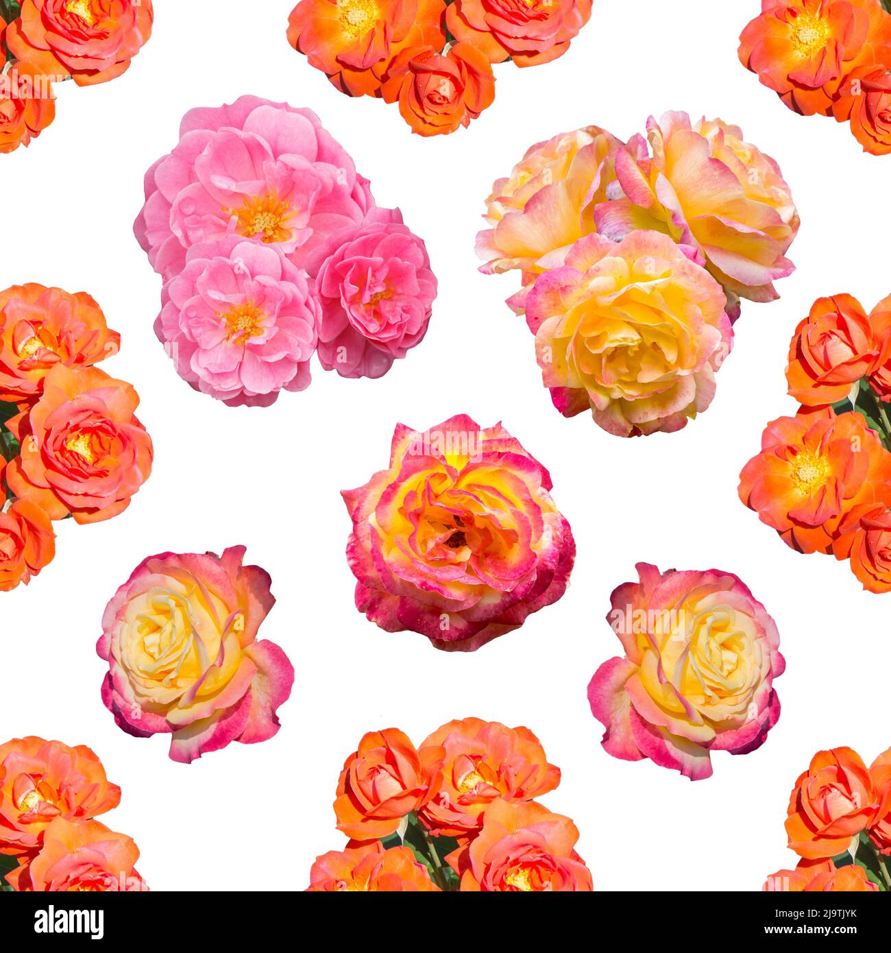 Seamless pattern with different flowers of roses. Festive, gentle ...