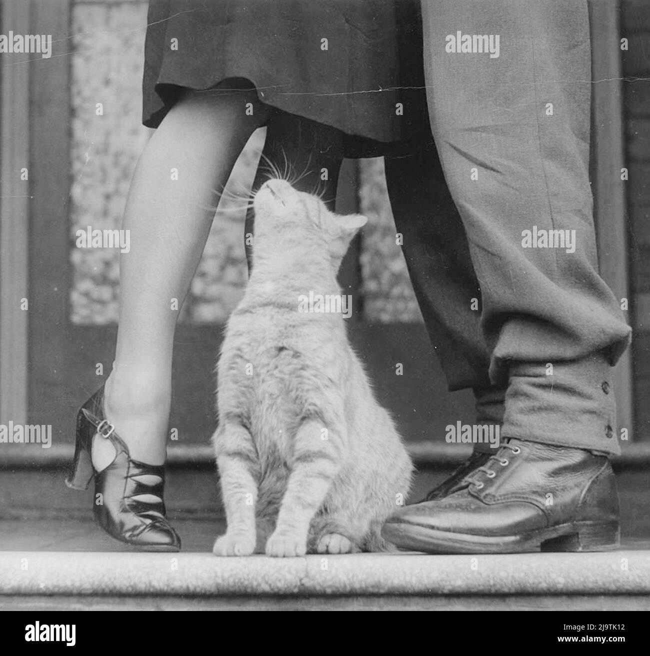 Sam Hood - Soldiers Goodbye with Bobbie the Cat - 1940 - Up-Skirt Stock ...
