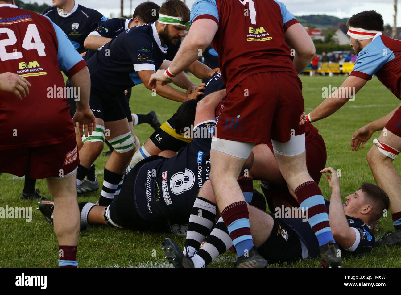Tumble RFC v Lampeter RFC Stock Photo - Alamy