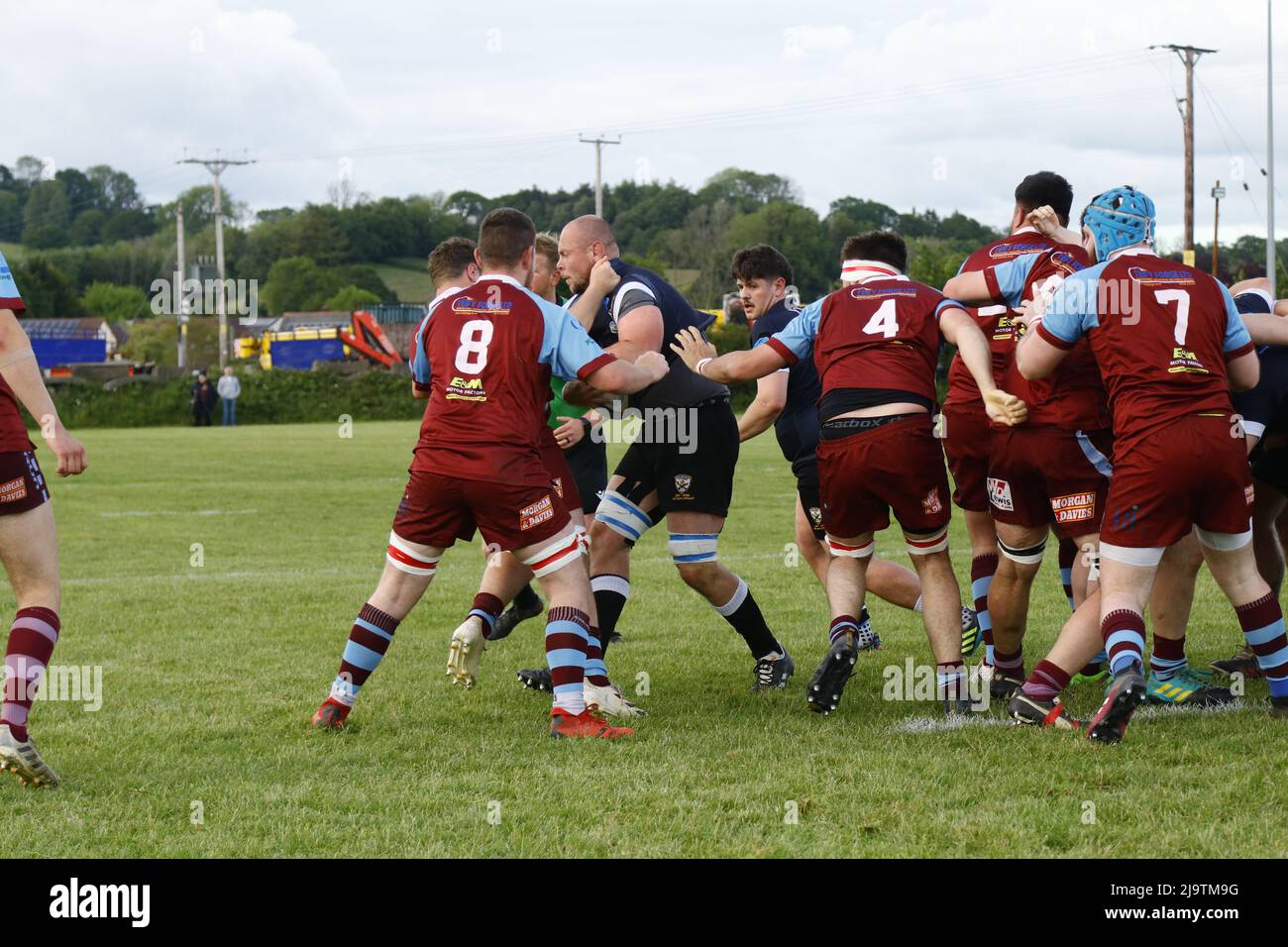 Tumble RFC v Lampeter RFC Stock Photo - Alamy