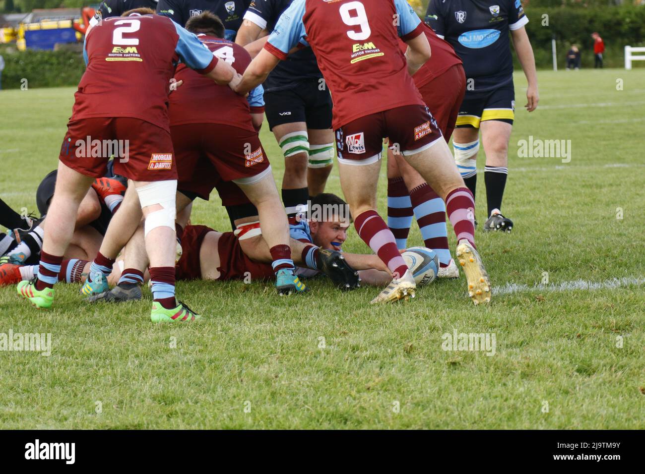 Tumble rfc hi-res stock photography and images - Alamy