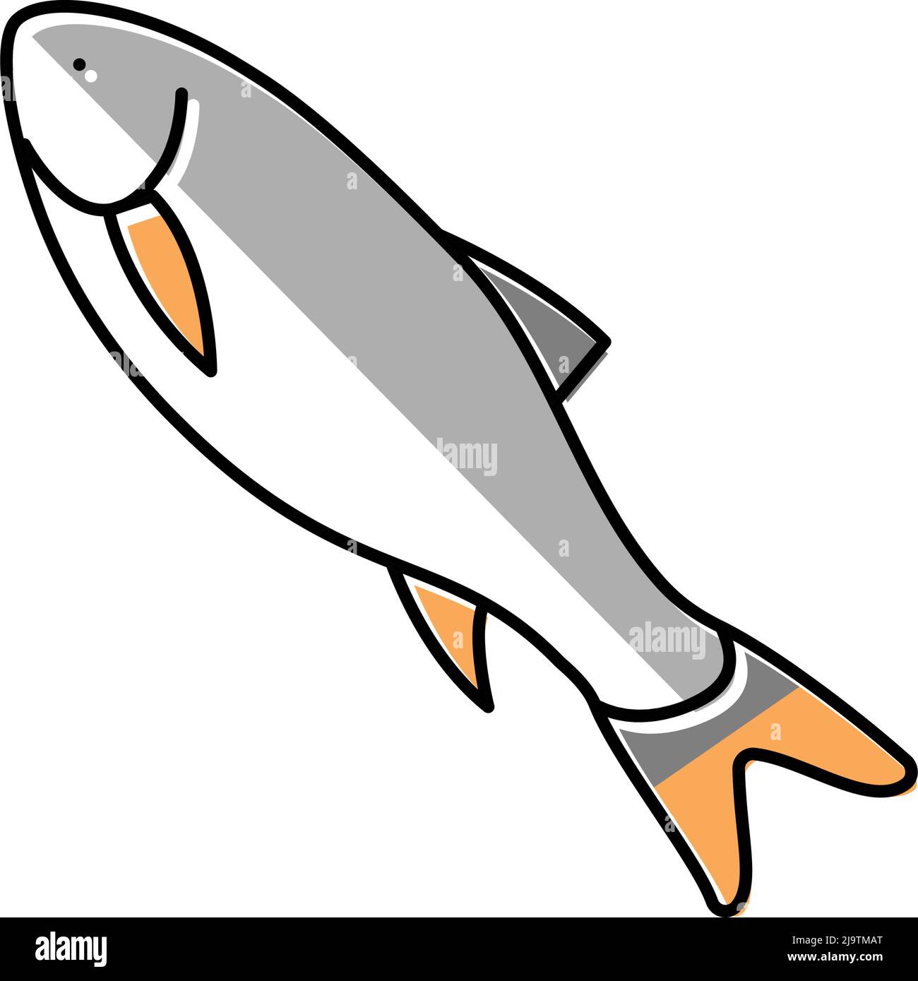 rohu fish color icon vector illustration Stock Vector Image & Art - Alamy