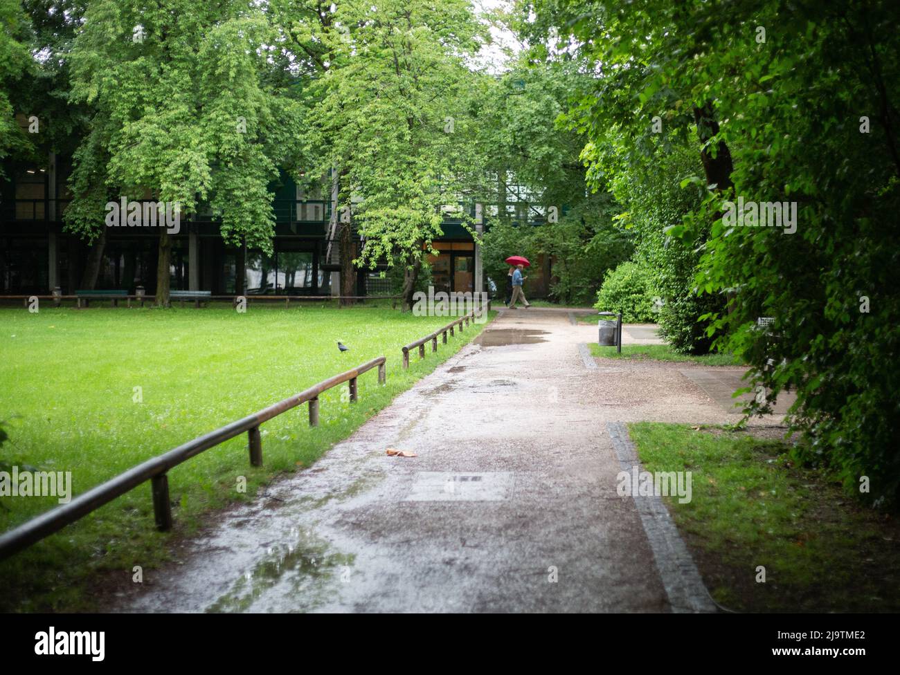 On May 25, 2022 there were rainfalls in Munich, Germany. People wore ...