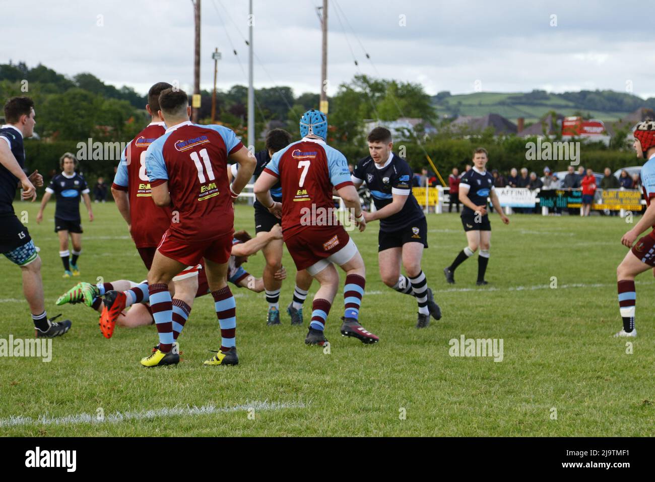 Tumble rfc hi-res stock photography and images - Alamy