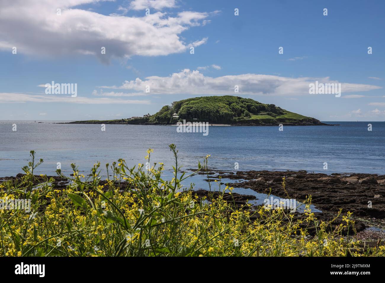 Looe Island from Hannafore, West Looe, Cornwall. According to local ...