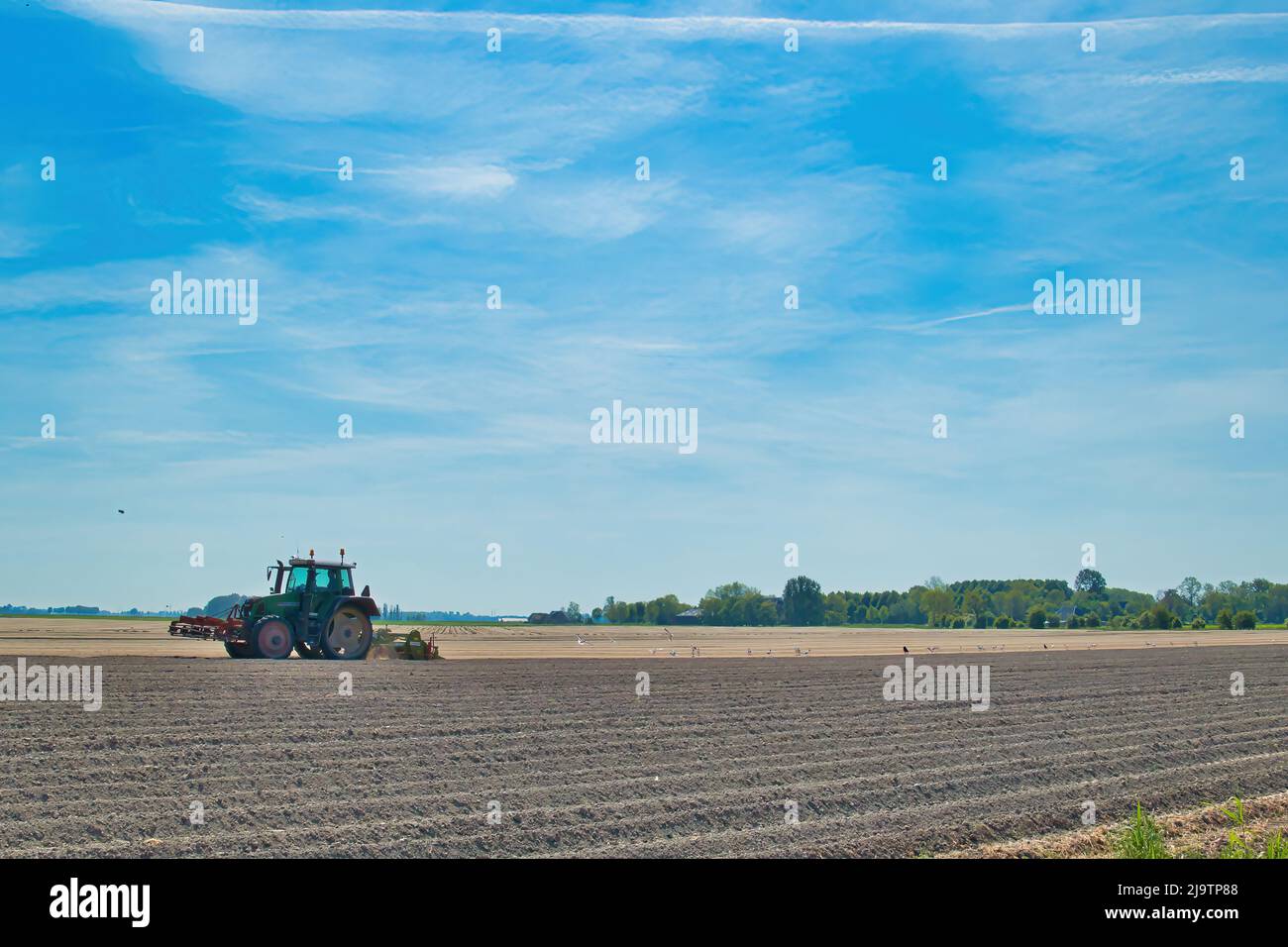 Harrowing a ploughed field in the Dutch province of Groningen. Tractor ...