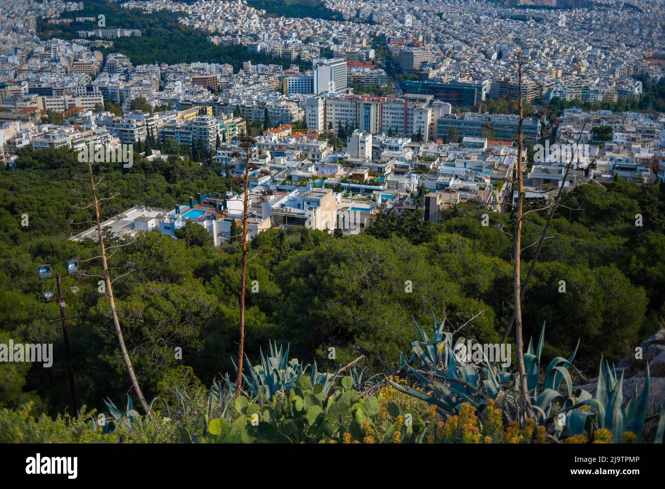 Rooftop pools viewed from Lycabettus Hill in Athens Stock Photo - Alamy