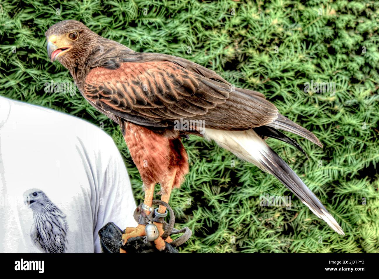 The Lednice-Valtice area is a UNESCO monument Stock Photo - Alamy