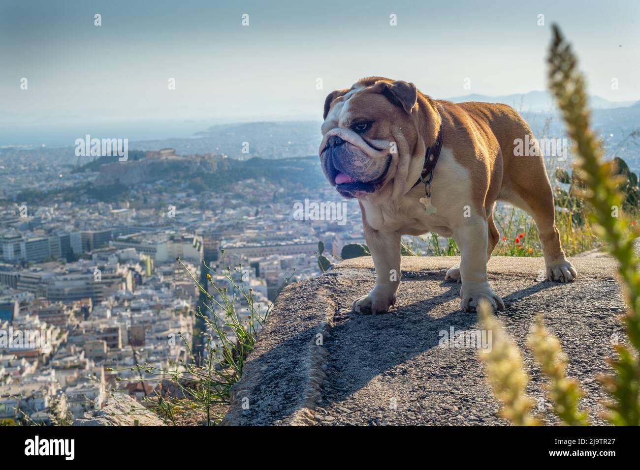 Panorama athens hi-res stock photography and images - Alamy
