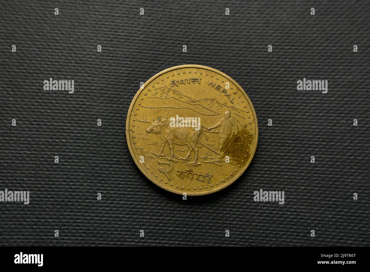 2 Rupee coin Nepal, Back view, Brass plated Steel Stock Photo - Alamy
