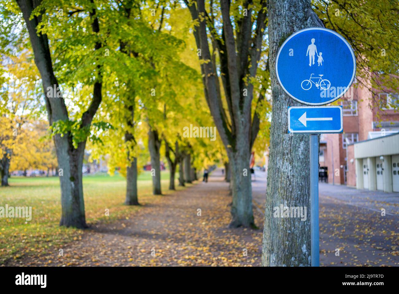 bike path sign in city park. Alerting pedestrians about the movement of ...