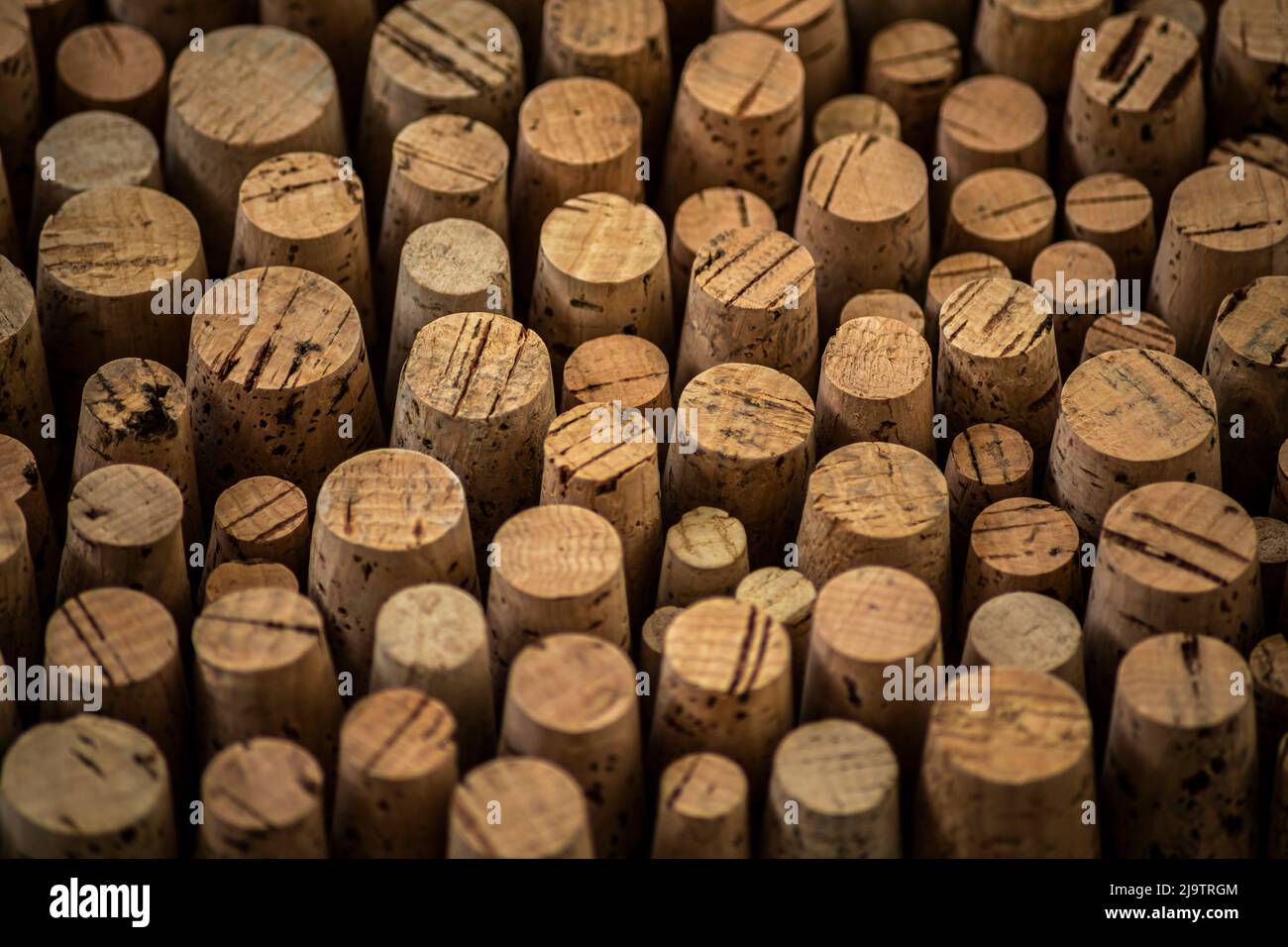Texture of cork stoppers of different sizes in perspective Stock Photo ...