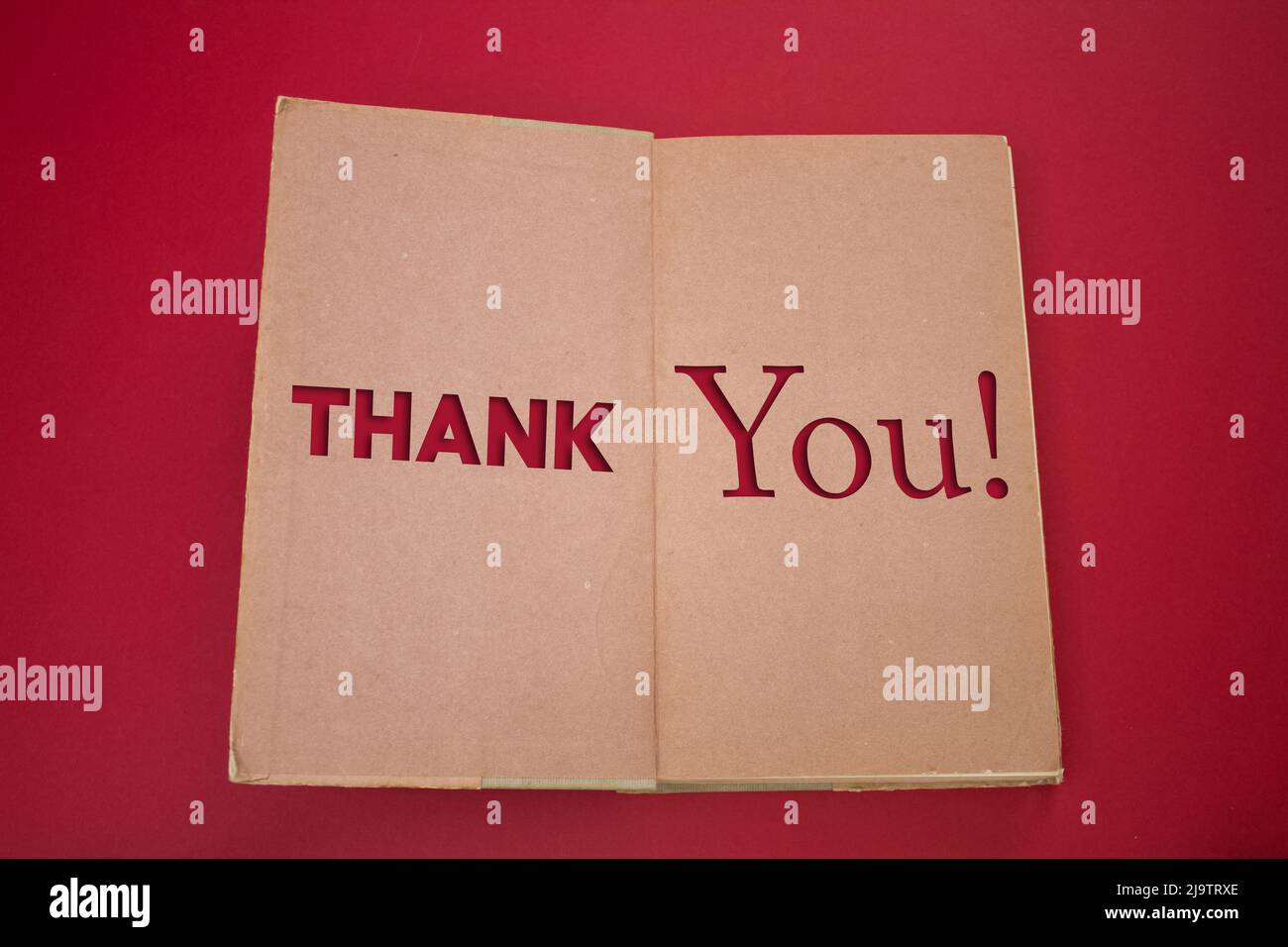 Thank You word in opened book with vintage, natural patterns old ...