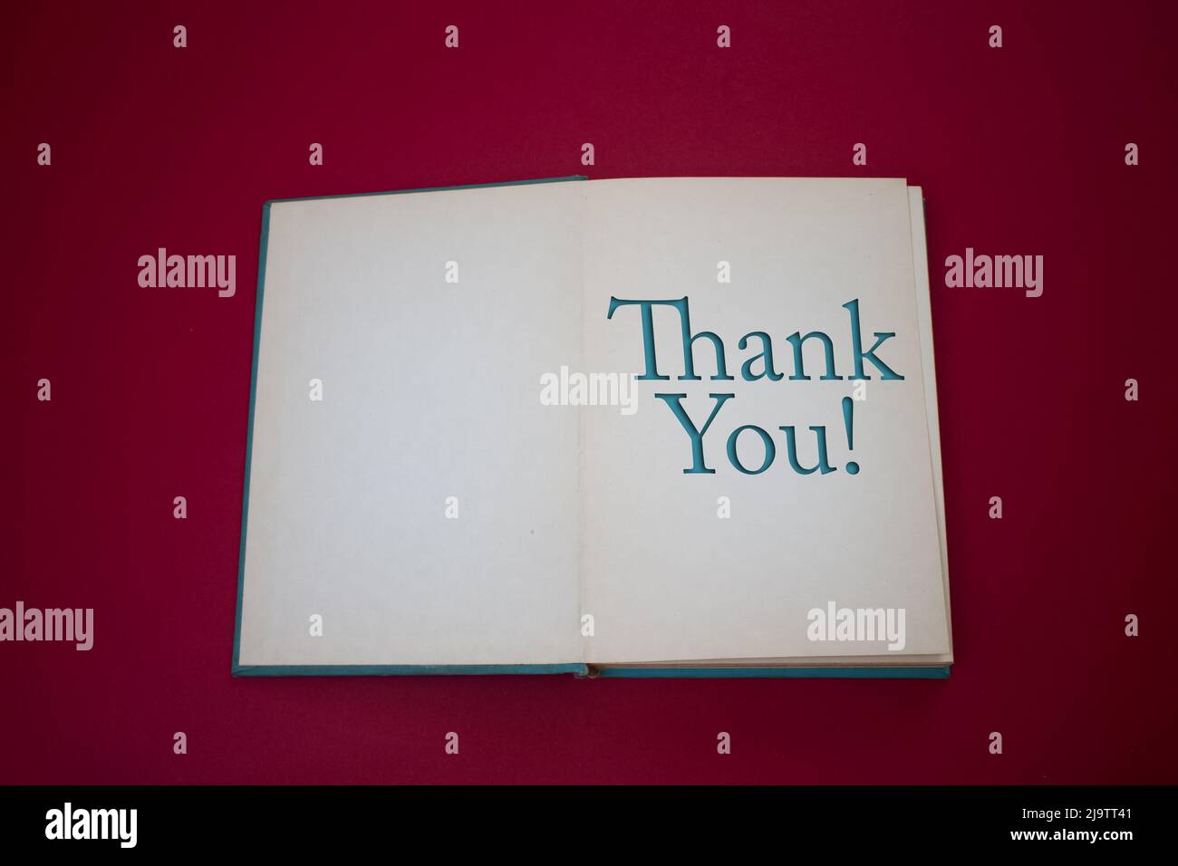 Thank You word in opened book with vintage, natural patterns old ...