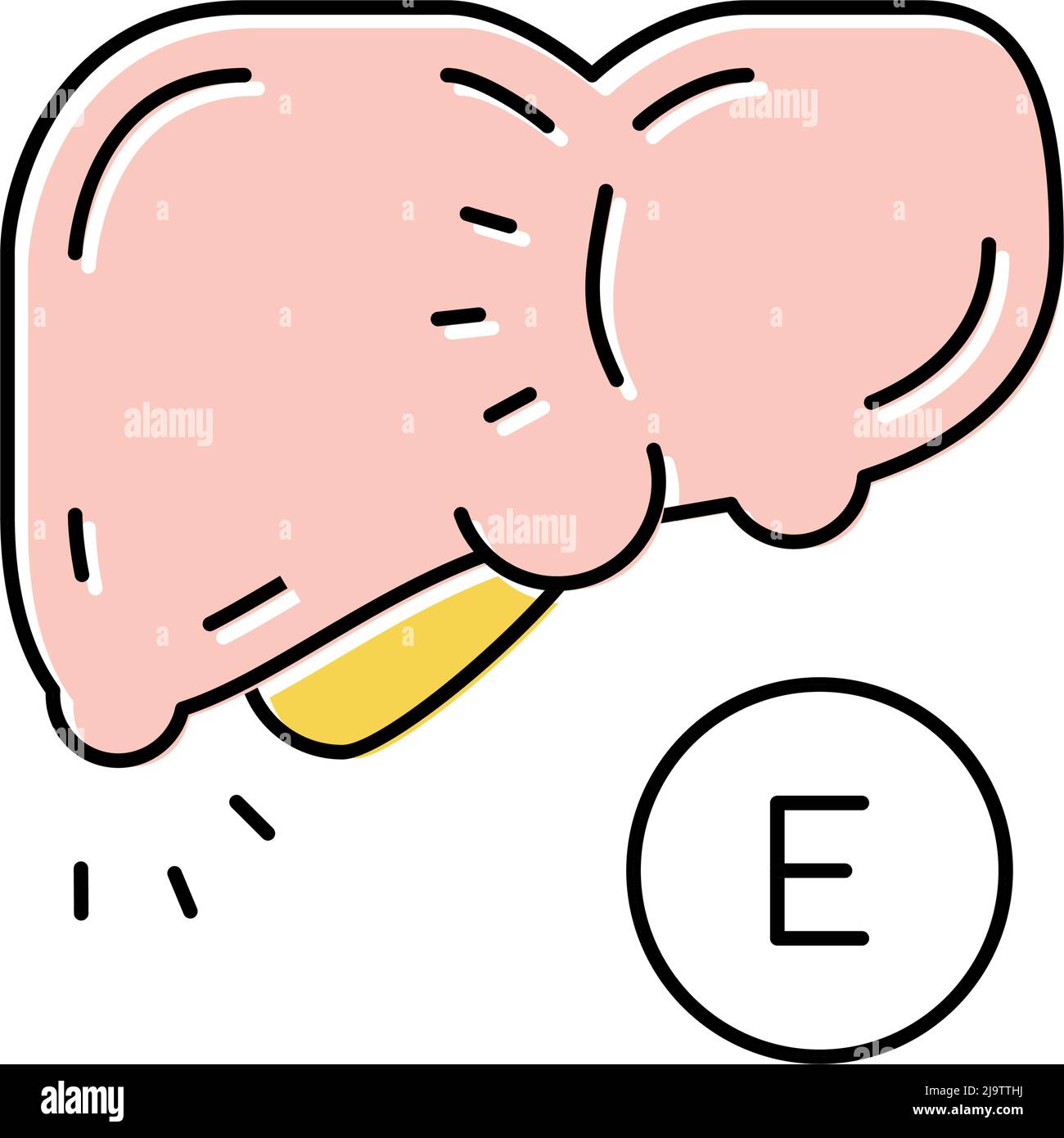 type e hepatitis color icon vector illustration Stock Vector Image ...