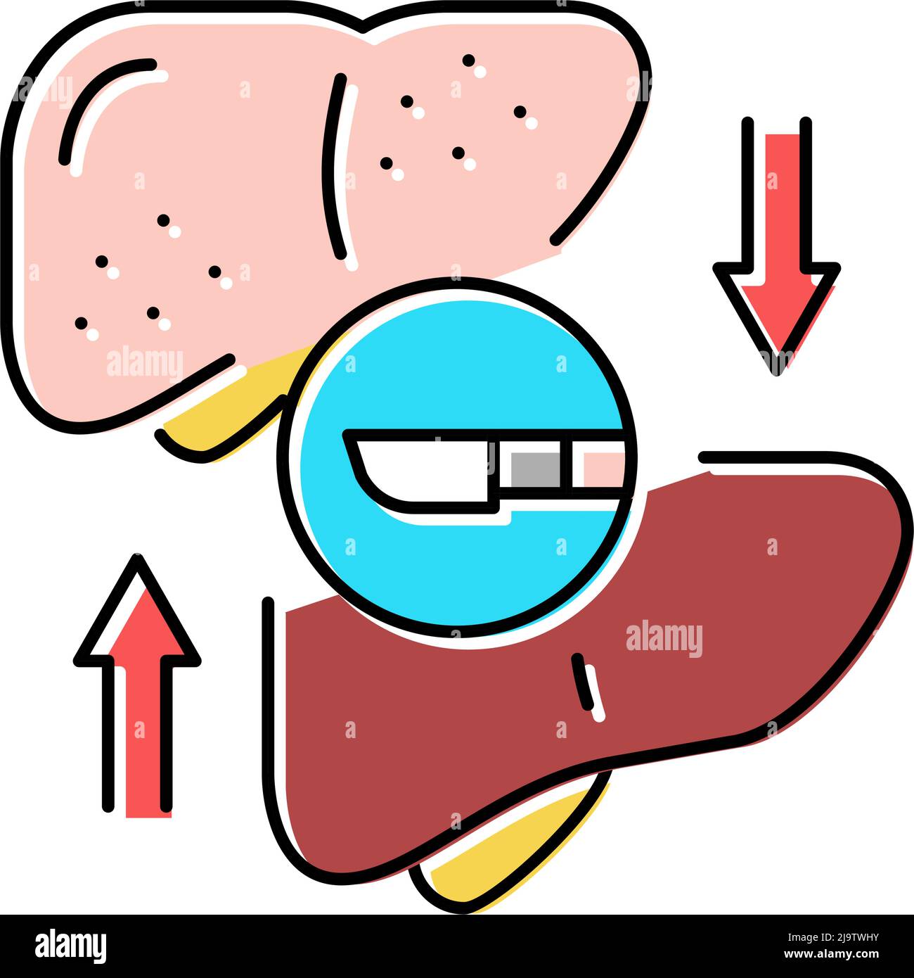 liver transplant color icon vector illustration Stock Vector Image ...